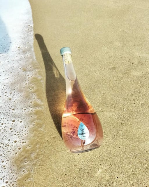 Saint-Emilion: Tasting of 4 Wines in a Family Vineyard - Wines Tasted and Presentation