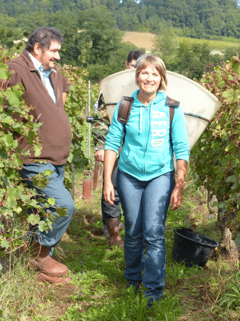 Saint-Emilion: Tasting of 4 Wines in a Family Vineyard - Location and Directions