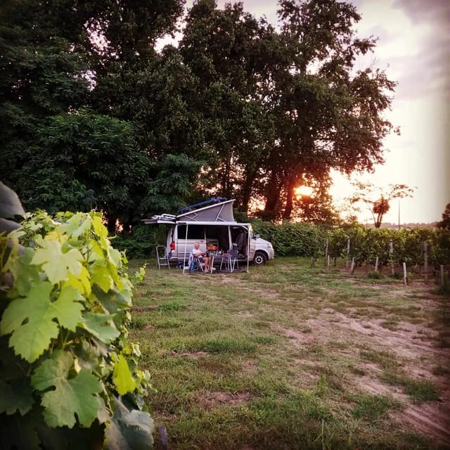 Saint-Emilion: Tasting of 4 Wines in a Family Vineyard - Since You Asked