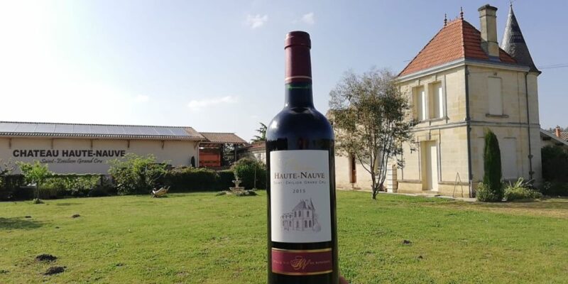 Saint-Émilion: Vineyard Walking Tour and Tasting - Discovering the Saint-Émilion Vineyard Experience