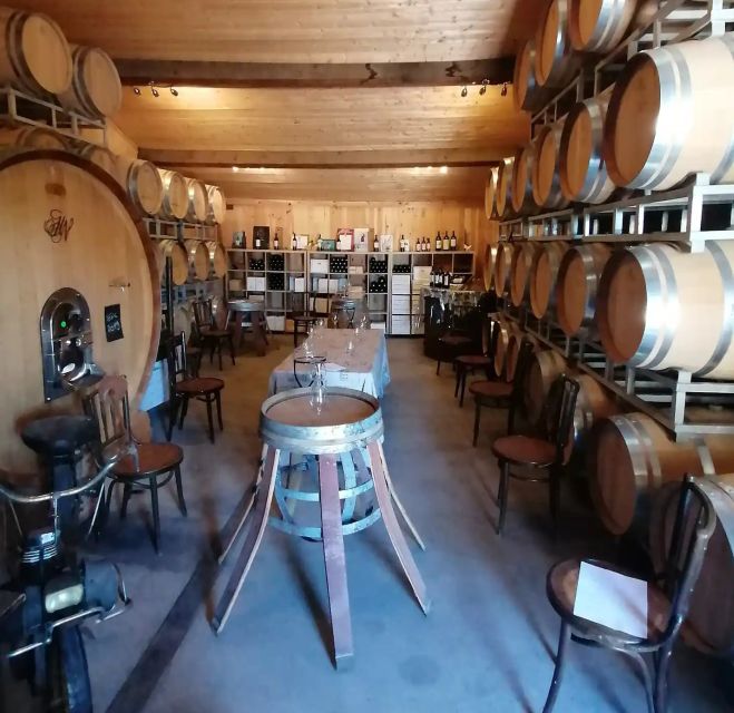 Saint-Émilion: Vineyard Walking Tour and Tasting - What Reviewers Say