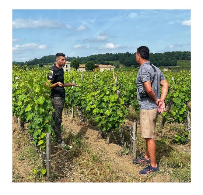Saint-Émilion: Vineyard Walking Tour and Tasting - The Sum Up: Who Will Love This Tour?