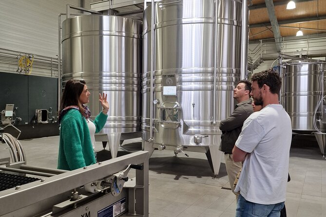 Saint-Émilion Wine Tour By Electric Bike, Lunch Included - Inclusions of the Experience