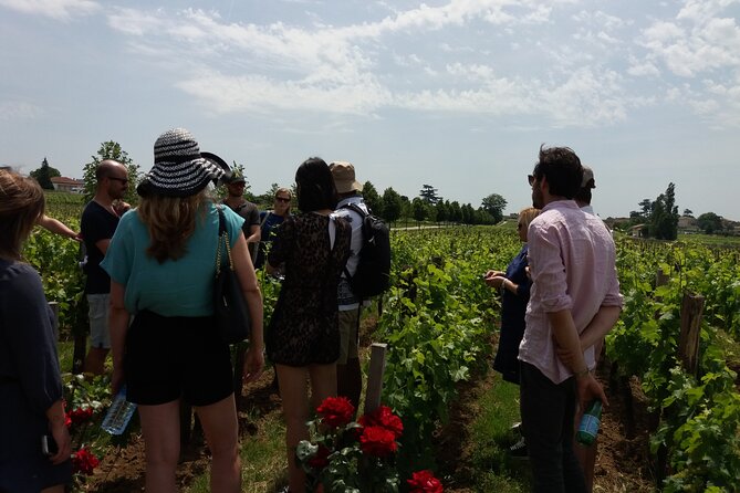 Saint Emilion Wine Tour Tasting Half Day From Bordeaux - Key Points