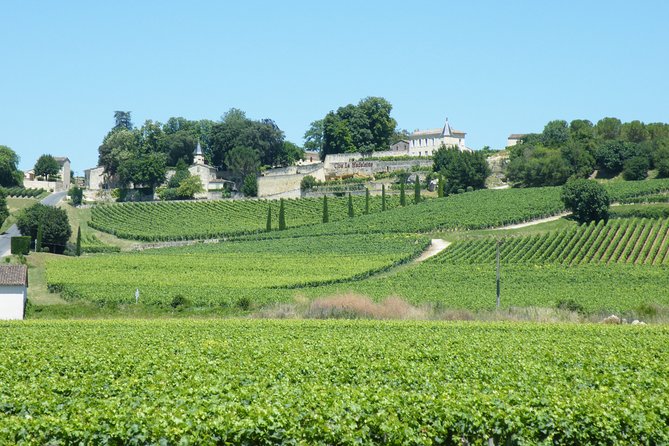 Saint Emilion Wine Tour Tasting Half Day From Bordeaux - Inclusions and Exclusions