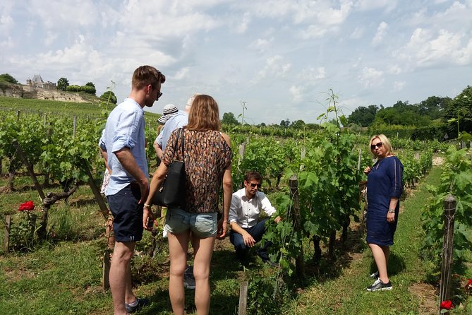 Saint Emilion Wine Tour Tasting Half Day From Bordeaux - Meeting Details