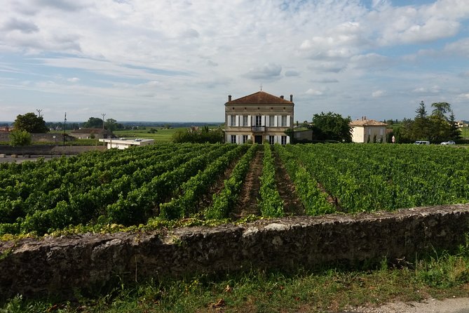 Saint Emilion Wine Tour Tasting Half Day From Bordeaux - Cancellation and Privatization