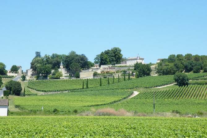Saint Emilion Wine Tour Tasting Half Day From Bordeaux - Seasonal Highlights