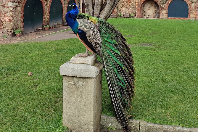 Saint George Castle Guided Tour From Lisbon - Tips for a Memorable Experience
