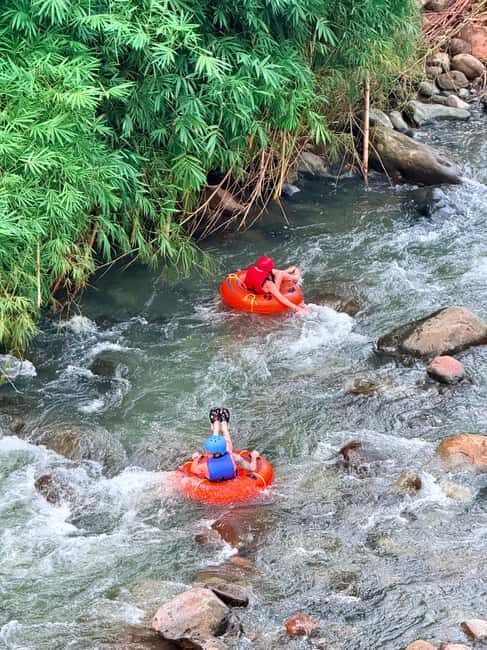 Saint George's: Grenada River Tubing & Waterfall island tour - The Experience: A Closer Look at the Tour