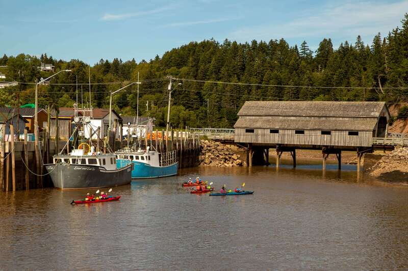 Saint John: Guided Kayaking Tour of St. Martins Sea Caves - Who Should Consider This Tour?