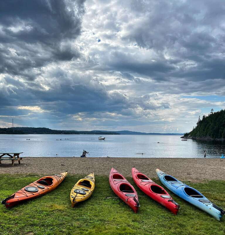 Saint John River: River Relics Kayak Tour - Authentic Feedback from Participants