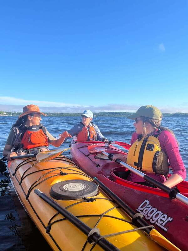 Saint John River: River Relics Kayak Tour - Final Thoughts: Who Will Love This Tour?