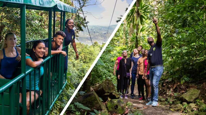 Saint Lucia: Aerial Tram Tour at Rainforest Adventures - Key Points