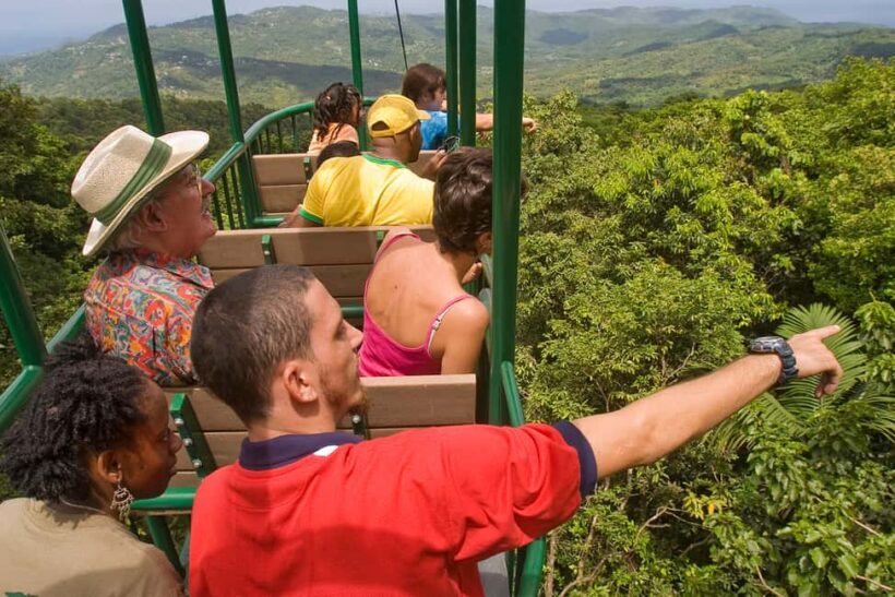 Saint Lucia: Aerial Tram Tour at Rainforest Adventures - Frequently Asked Questions
