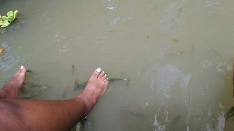 Saint Lucia: La Tille Falls Visit and Fish Foot Massage - Key Points