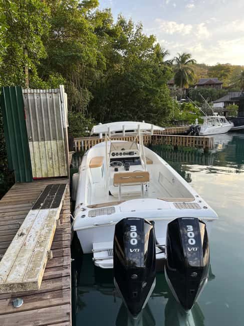 Saint Lucia: Private 4-Hour Cruise to Anse Cochon - Key Points