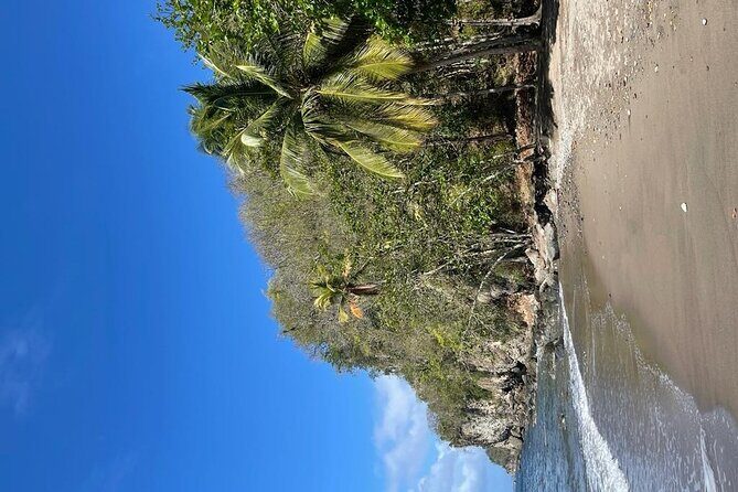 Saint Lucia Private East Coast Tour - FAQs