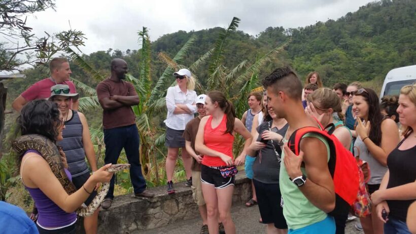 Saint Lucia: Private Island Tour with Customizable Itinerary - Key Points