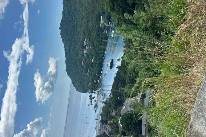 Saint Lucia West Coast Sightseeing Tour with Scenic Stops - Who Would Love This Tour?