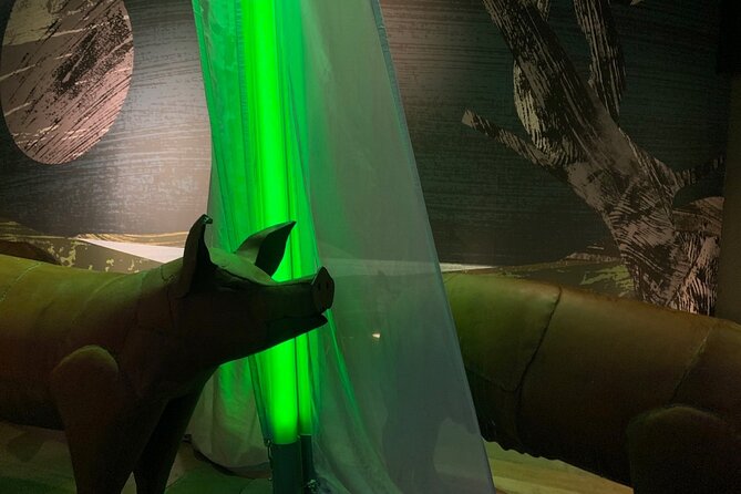 Saint Patrick Centre Exhibition Experience - Tips for Making the Most of the Visit