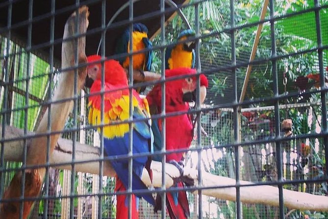 Saint Petersburg Eco Segway Tour - Observing Wildlife in the Natural Habitat