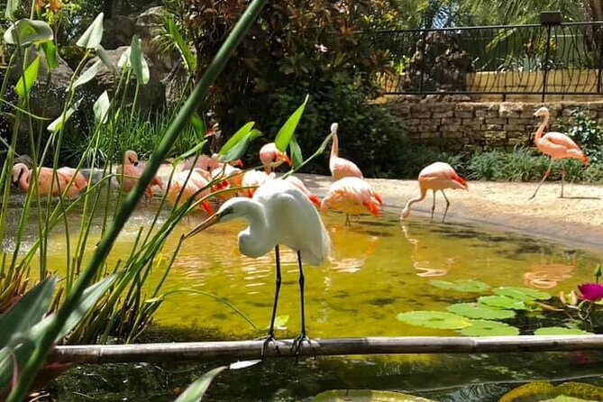 Saint Petersburg Eco Segway Tour - Customer Feedback and Recommendations