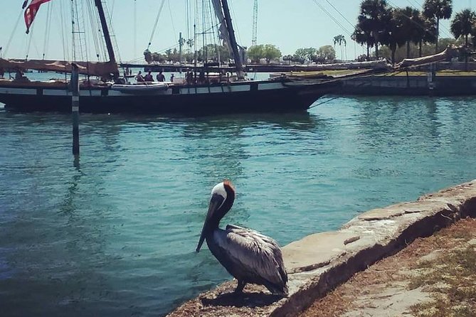 Saint Petersburg Historic Segway Tour - Exploring Victorian Architecture