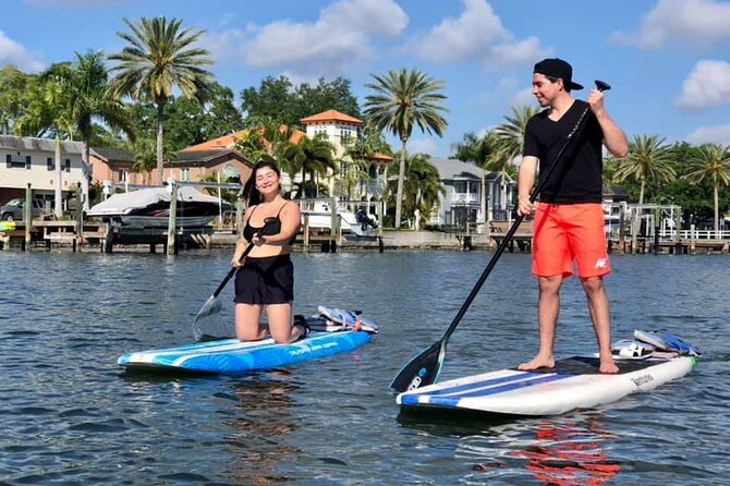 Saint Petersburg Paddle Board Tour - The Value and Practicalities