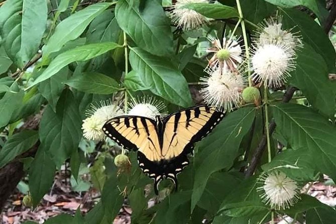 Saint Petersburg Preserve Bike Tour - Practical Tips for Participants