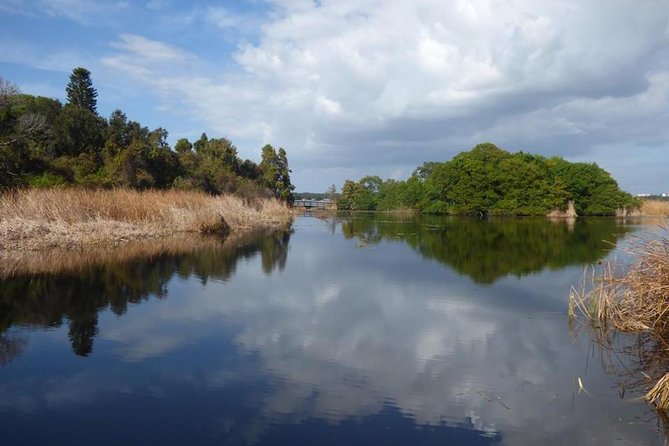 Saint Petersburg Preserve Bike Tour - The Sum Up: Is This Tour Right for You?