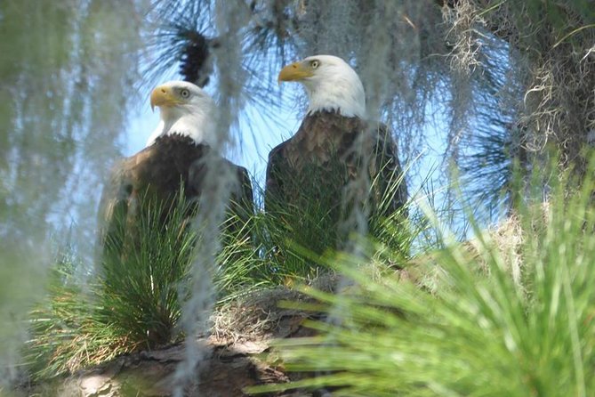 Saint Petersburg Preserve Bike Tour - FAQ About the Saint Petersburg Preserve Bike Tour