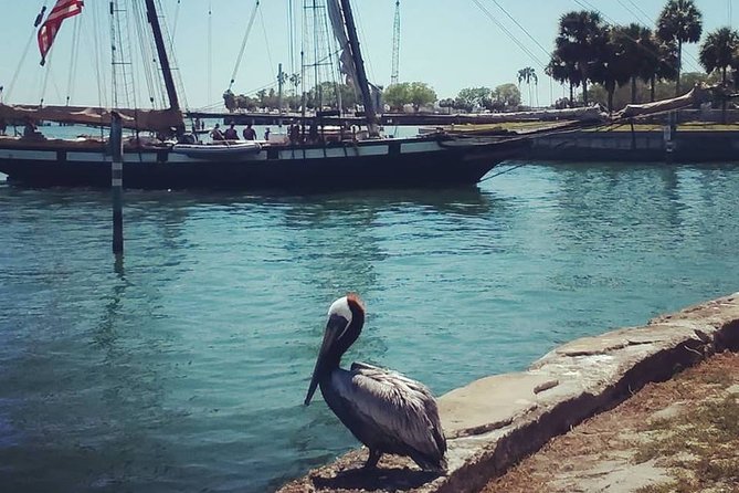 Saint Petersburg Scenic Segway Tour - Final Thoughts