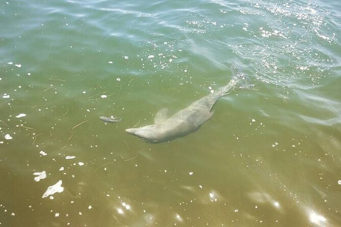 Saint Petersburg Scenic Segway Tour - FAQ