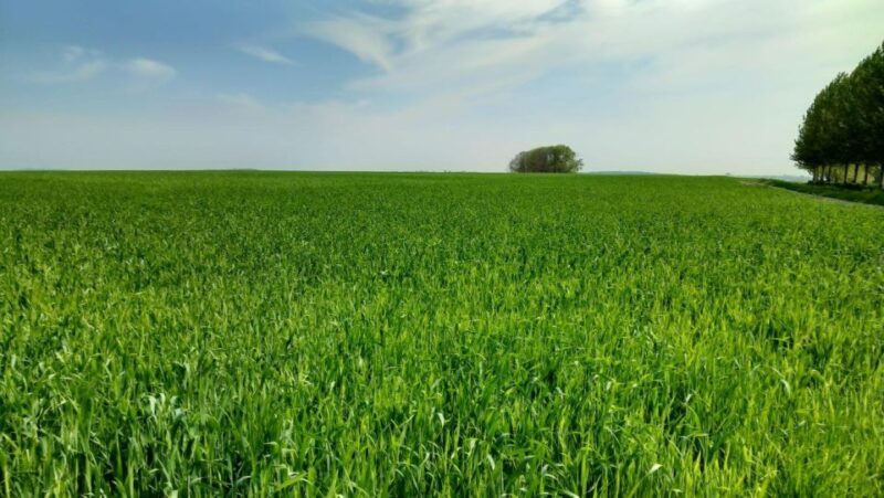 Saint-Quentin, Battle on the Hindenburg Line and the Canal - The Sum Up