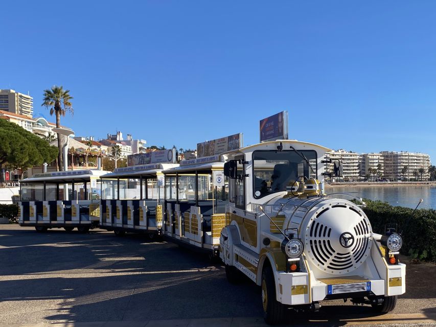 Saint-Raphaël: The Little Train of Saint Raphaël Tour - Participant Suitability and Feedback