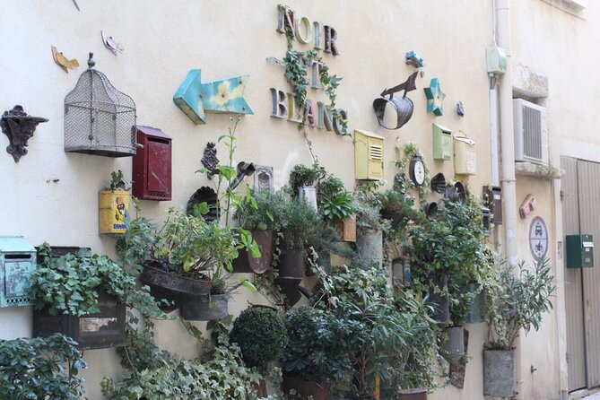 Saint Remy, Les Baux and Pont Du Gard Small Group Day Trip - Additional Information