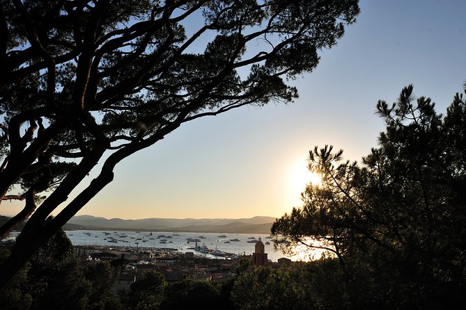 Saint-Tropez and Port Grimaud Day From Nice Small-Group Tour - What to Expect on the Tour