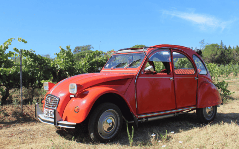 Saint-Tropez: Vintage Car Wine Tour - Who Is This Tour Best For?