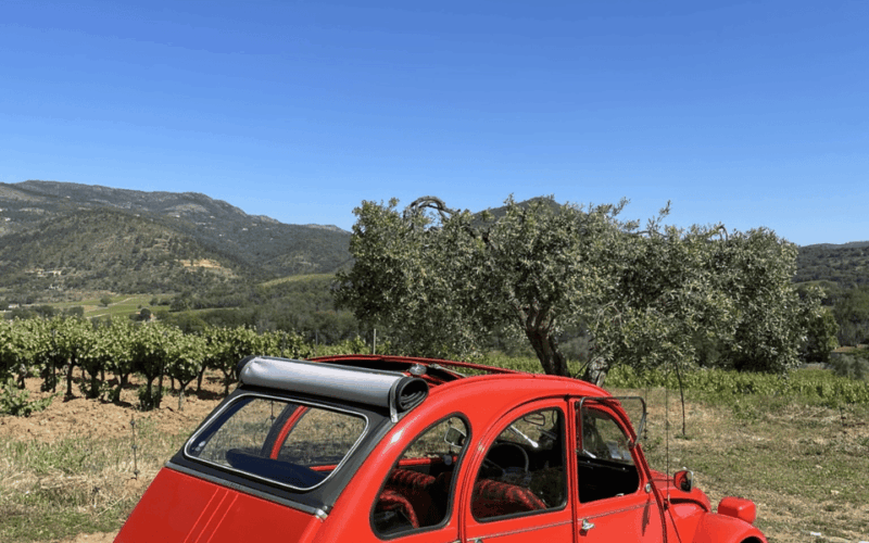 Saint-Tropez: Vintage Car Wine Tour - FAQs