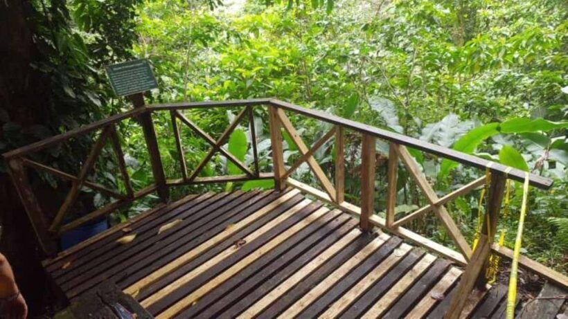 Saint Vincent: Caribbean Odyssey Tour - Exploring the Vermont Nature Trail