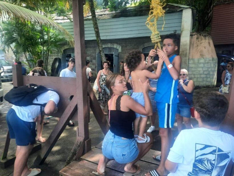 Saint Vincent: Caribbean Odyssey Tour - Final Thoughts: Who Should Consider This Tour?