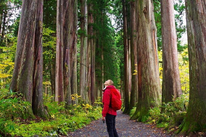 Sake and Stroll: A Deep Dive into Obuse's Brewing Heritage - FAQ