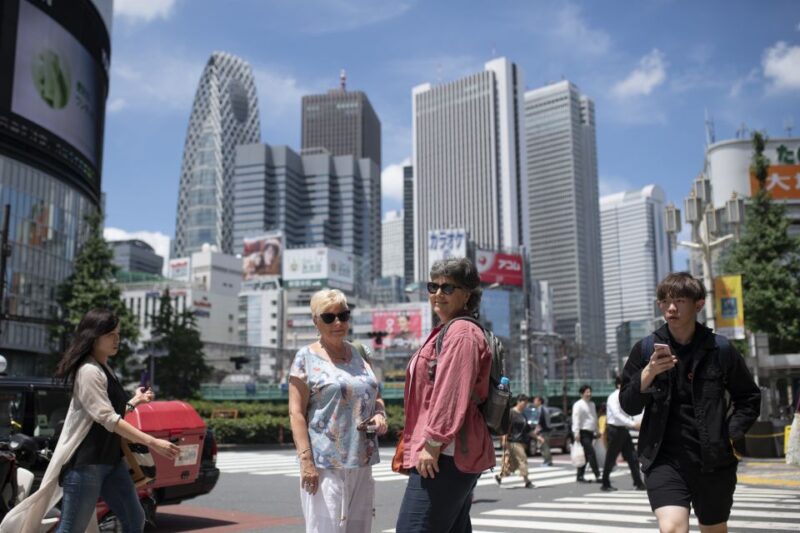 Sakura in Tokyo: Cherry Blossom Experience - Indulging in the Japanese Picnic Lunch