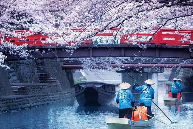 Sakura Magic and Nabana No Sato Day Tour From Osaka - Key Points