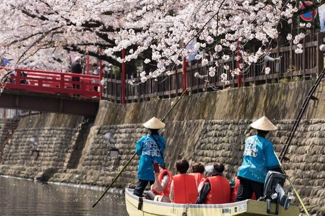 Sakura Magic and Nabana No Sato Day Tour From Osaka - A Day of Seasonal Splendor in Japan’s Heartland