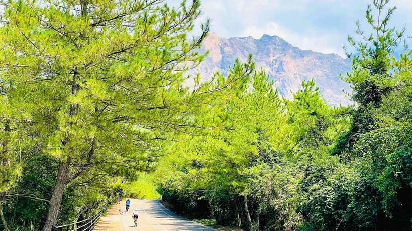 Sakurajima Century Lava Climb Journey with E-bike - Key Points