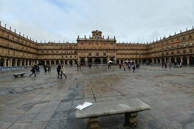 Salamanca and Avila Private Tour from Madrid with Hotel Pickup - Who Should Consider This Tour?