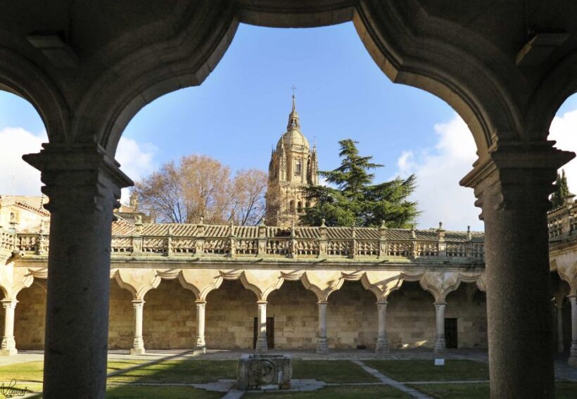 Salamanca: Miguel de Cervantes walking tour - Why Choose the Salamanca: Miguel de Cervantes Walking Tour?
