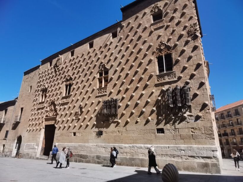 Salamanca: Monuments and Landmarks Guided Walking Tour - Who Should Consider This Tour?